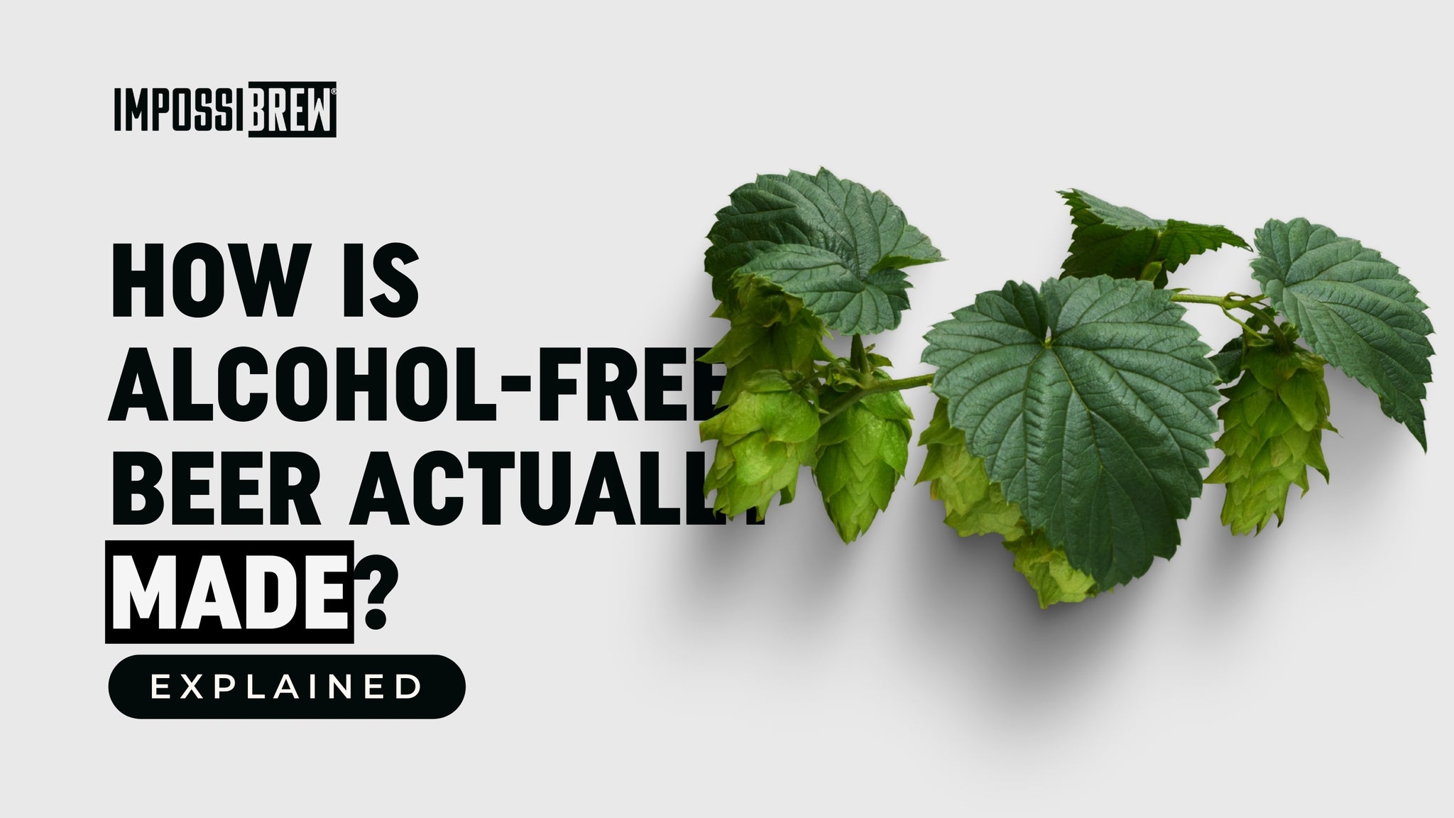 HOW IS ALCOHOL-FREE BEER MADE?