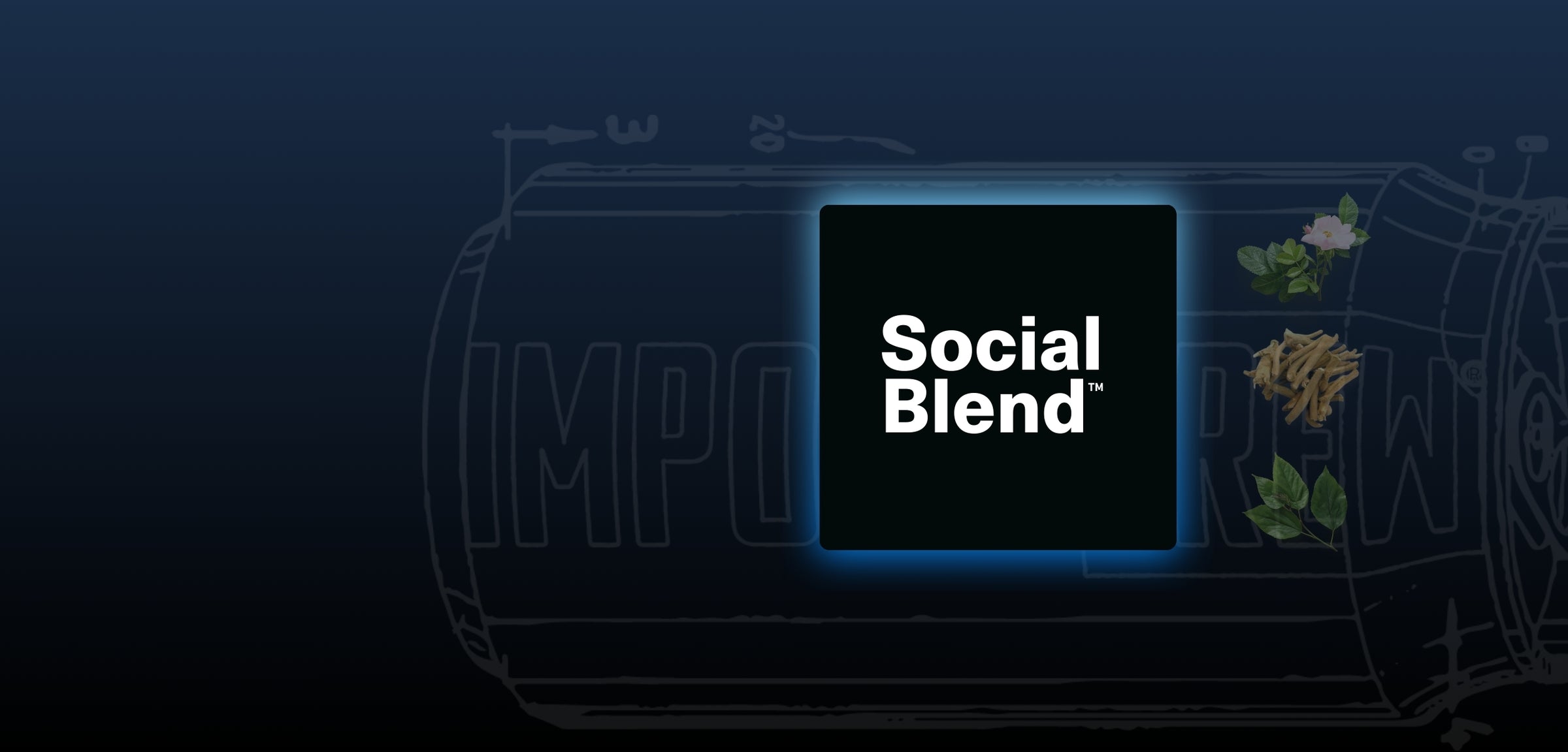 IMPOSSIBREW LAGER (440ML) - Enhanced Non-Alcoholic Beer